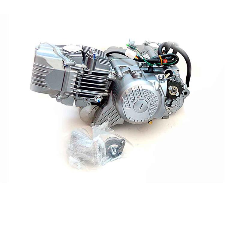 Motore pitbike ZS 190 cc per pitbike con motorino avviamento - Online ...