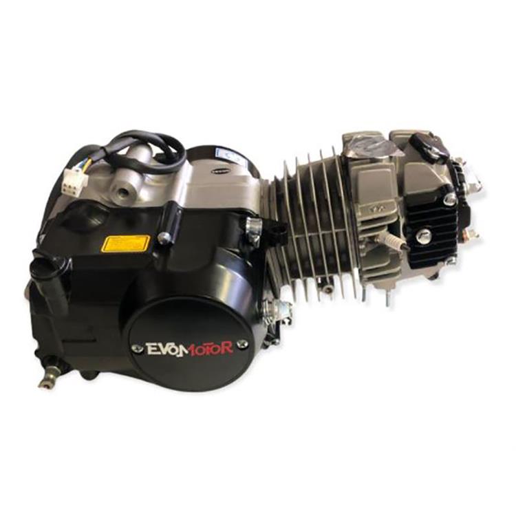 Motore Pit Bike 125 - YX - 4 Tempi - Online - Evomotor